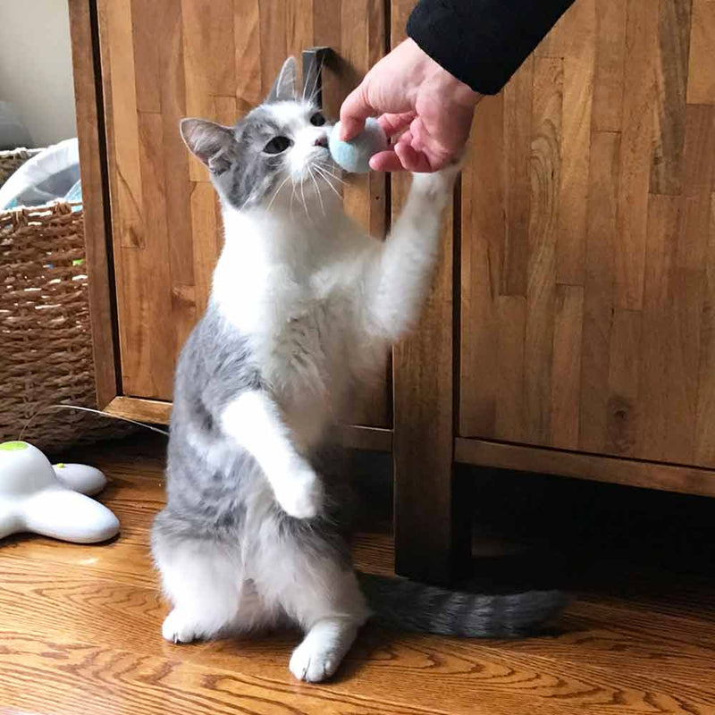 Favorite Eco-Friendly Gifts – Sister Collective